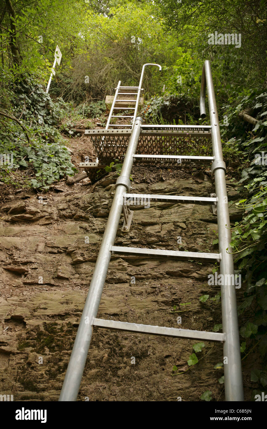 Fixed ladders hi-res stock photography and images - Alamy