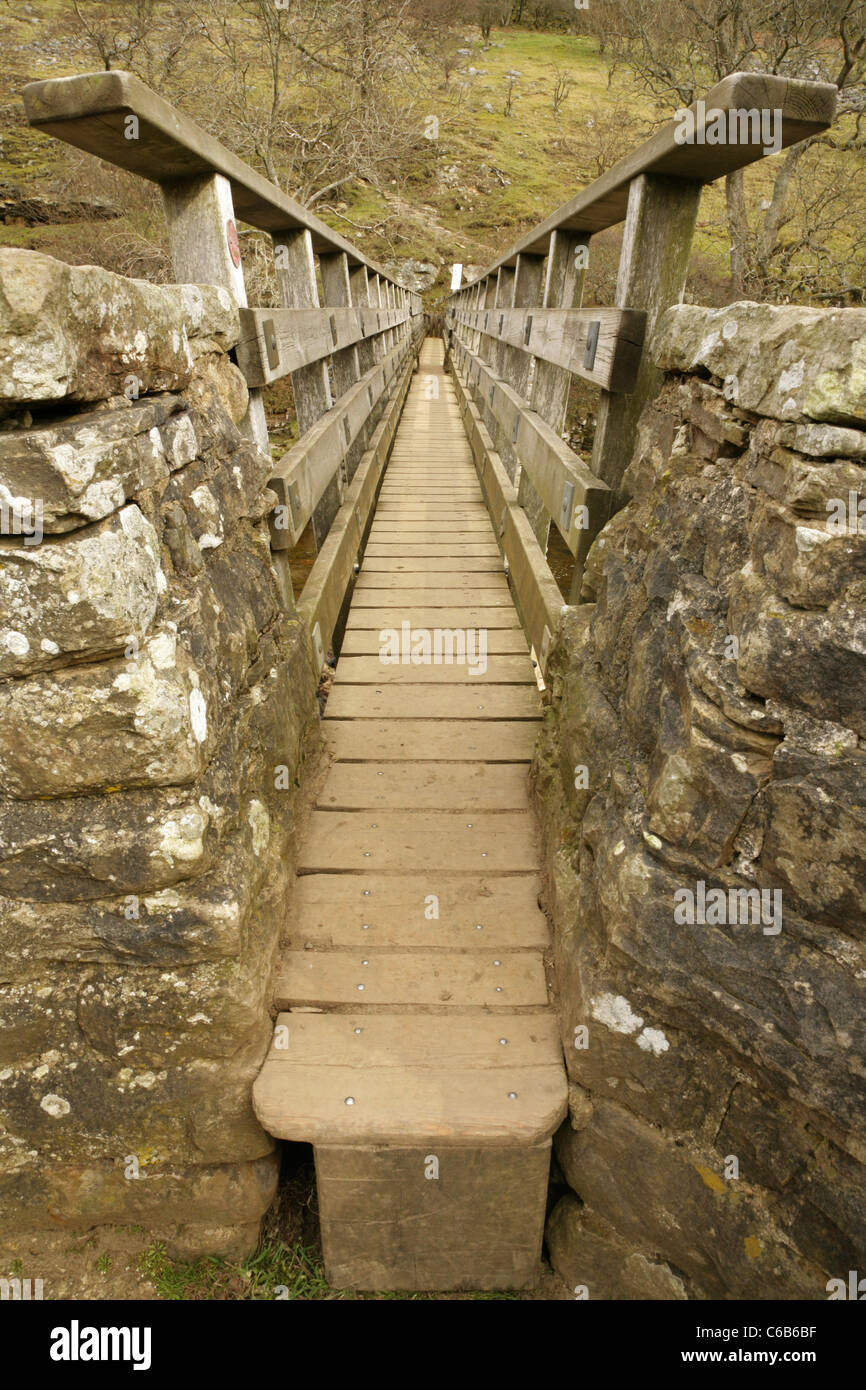 Narrow wooden footbridge in the Yorkshire Dales, England Stock Photo ...
