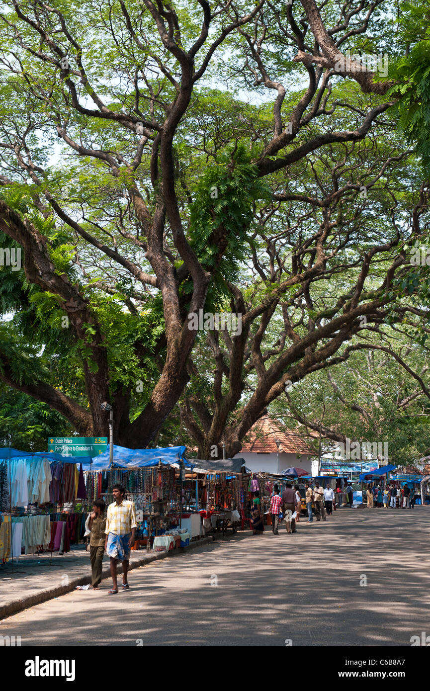 Tree Lined Street Market in Fort Cochin area of Kochi, Kerala, India ...