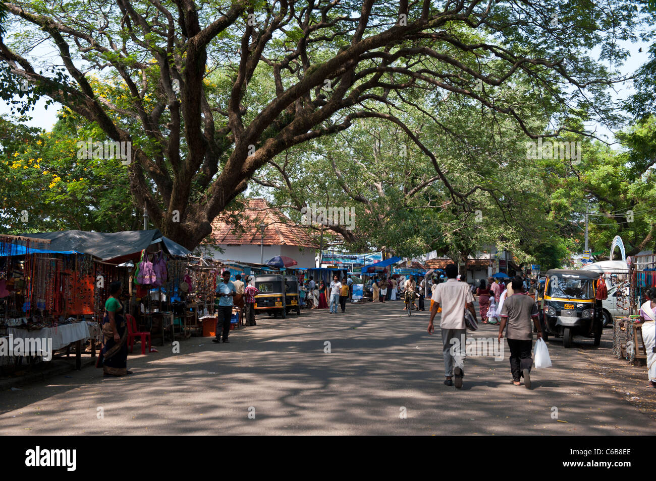 Tree Lined Street Market in Fort Cochin area of Kochi, Kerala, India ...