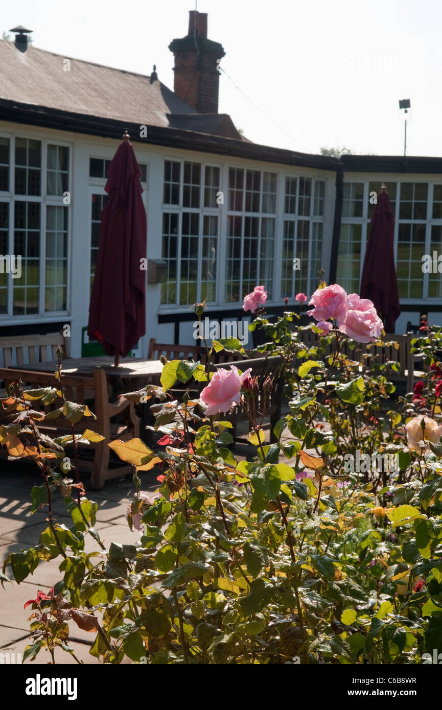 Stanmore golf club hi-res stock photography and images - Alamy