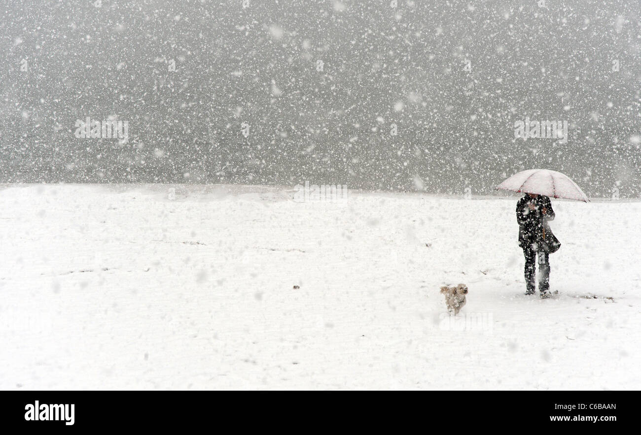 Heavy Snow covers the city of Cannes, France on February 11, 2010. The ...