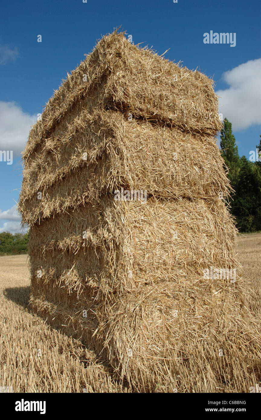 Haystack in a field Stock Photo - Alamy