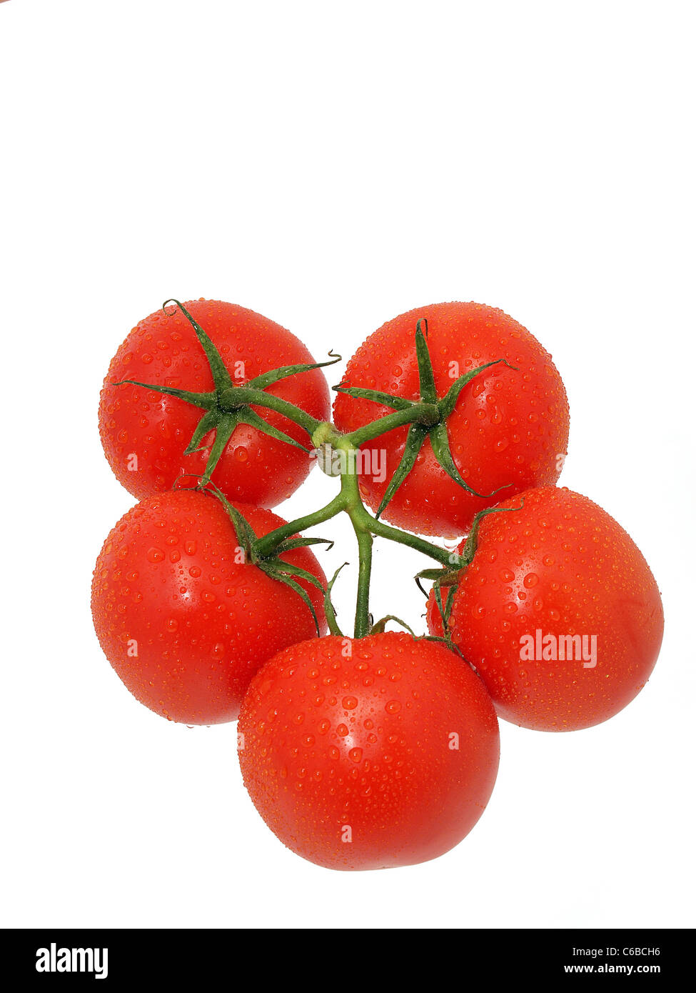 Red tomatoes isolated Stock Photo - Alamy