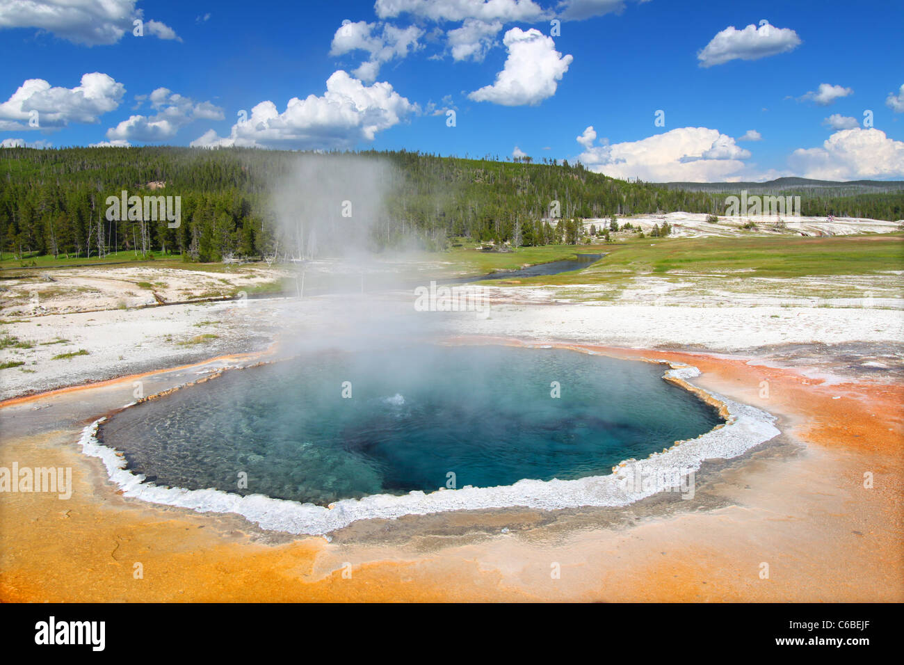 Crested pool hi-res stock photography and images - Alamy