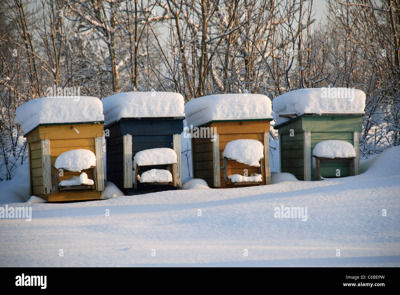 Winter bee hive hi-res stock photography and images - Alamy