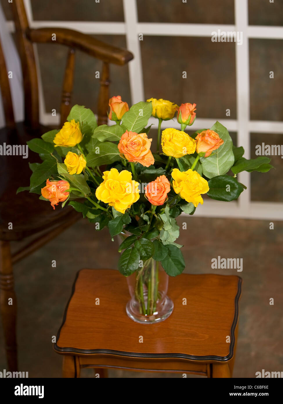 Autumn roses hi-res stock photography and images - Alamy