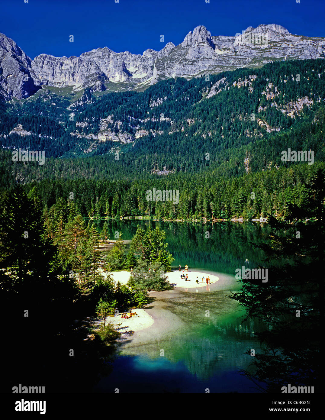 Park regional Dolomites of Brenta,lake alpine of Tovel Stock Photo - Alamy