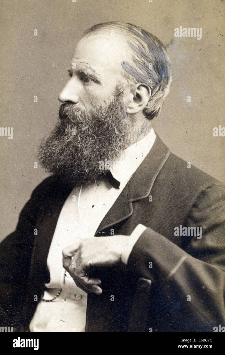 Henry William Banks Davis was an English landscape and animal painter ...