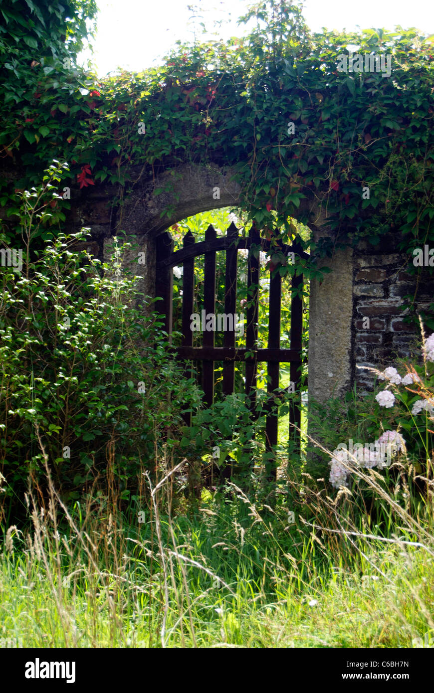 Gate with plants hi-res stock photography and images - Alamy