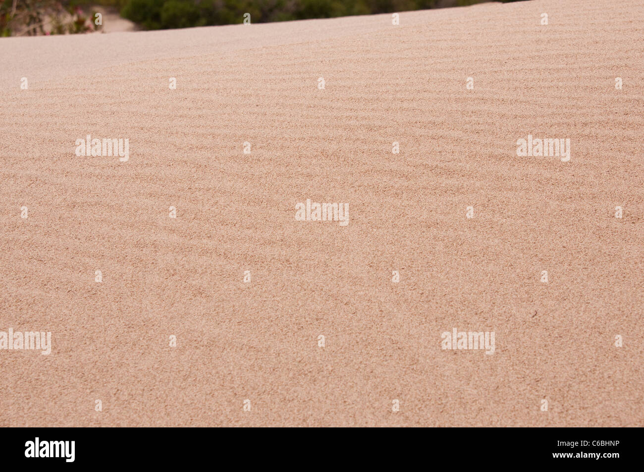 Patterns in sand, Patara Beach and sand dunes, Turkey Stock Photo - Alamy