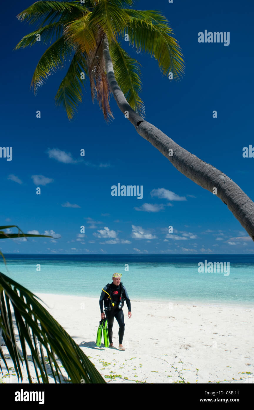 Scuba diver standing on beach, coconut tree in foreground, North ...