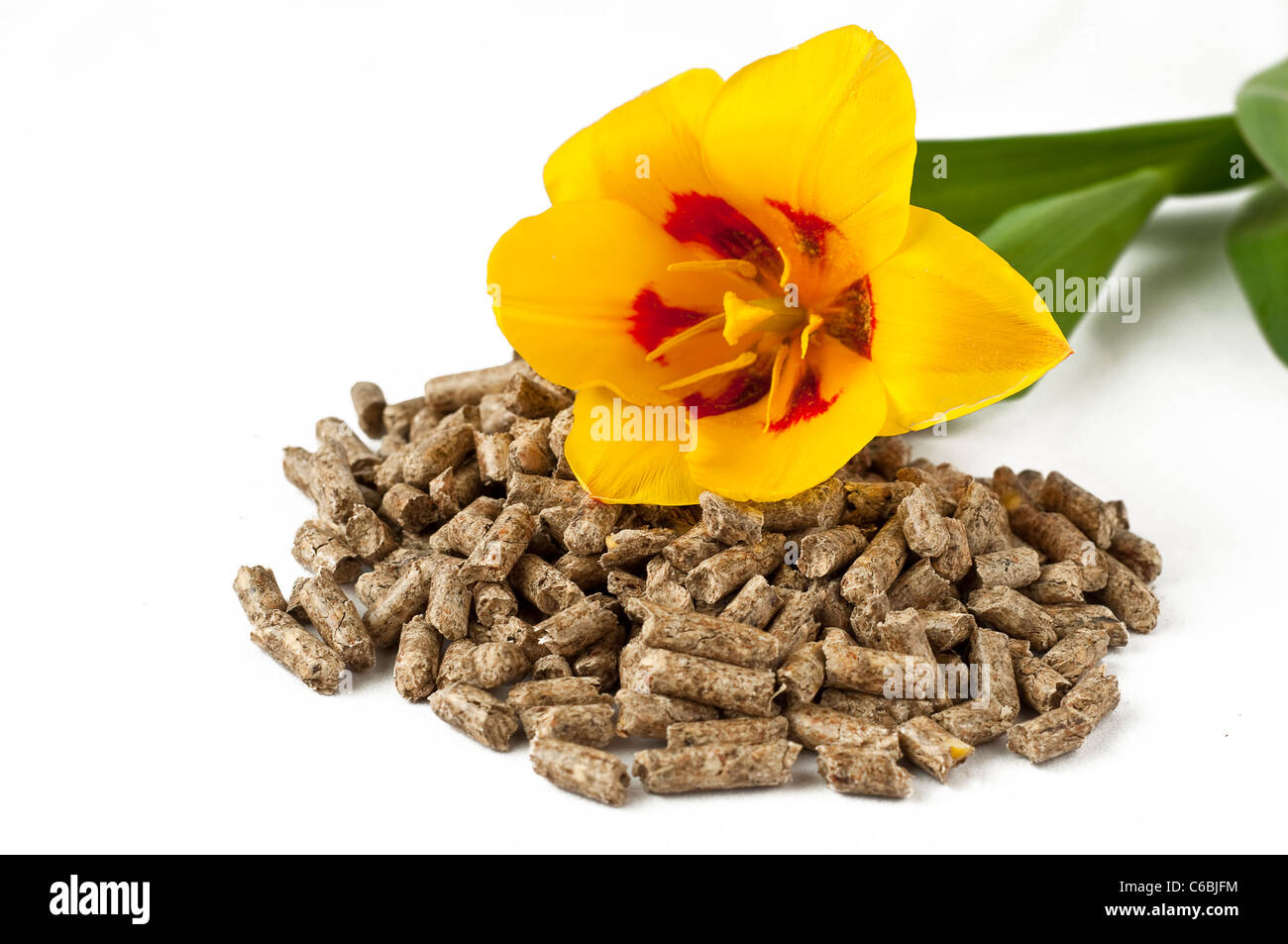 pellet and spring flowers on a white background Stock Photo - Alamy