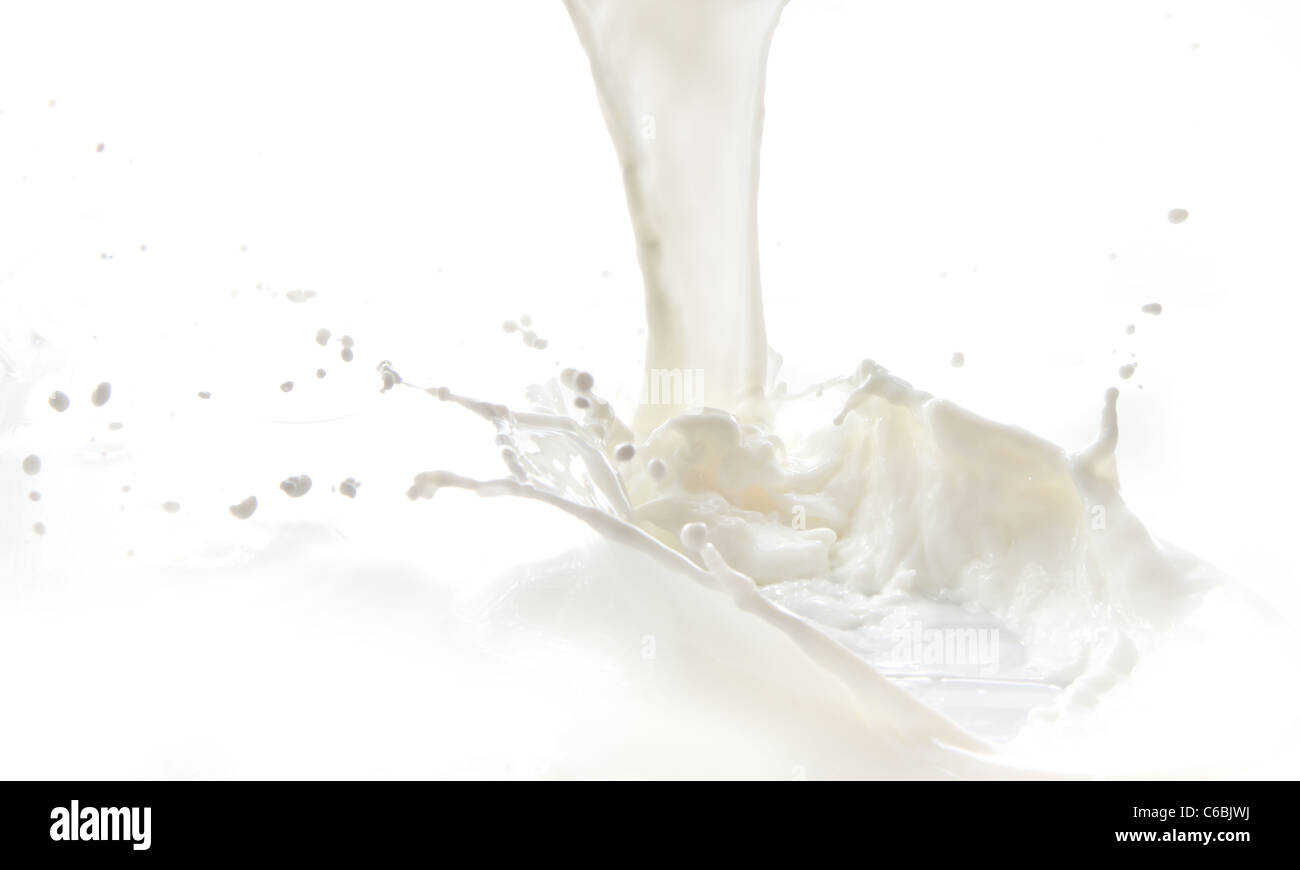 pouring milk splash isolated on white background Stock Photo - Alamy