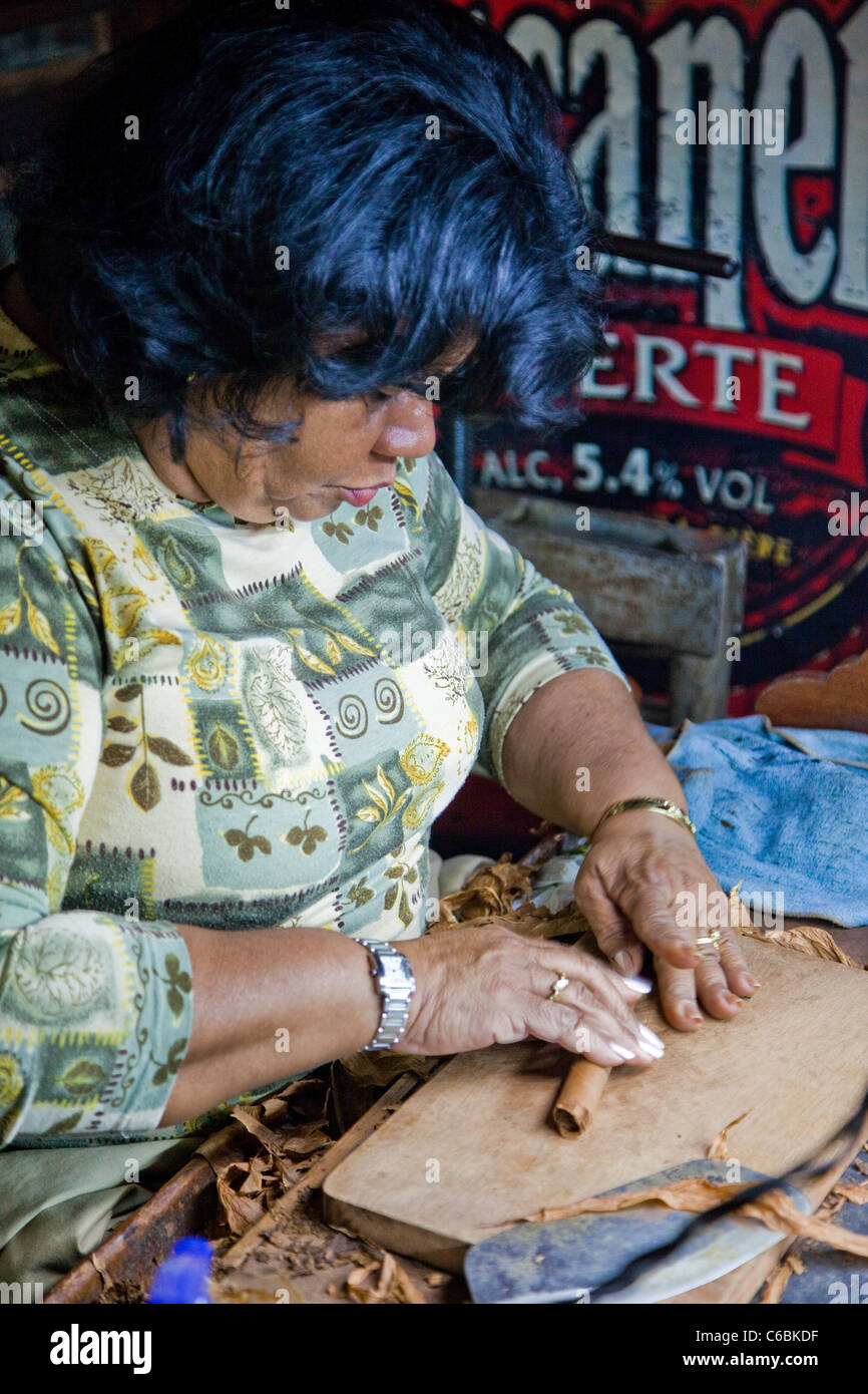 Cigar maker hi-res stock photography and images - Alamy