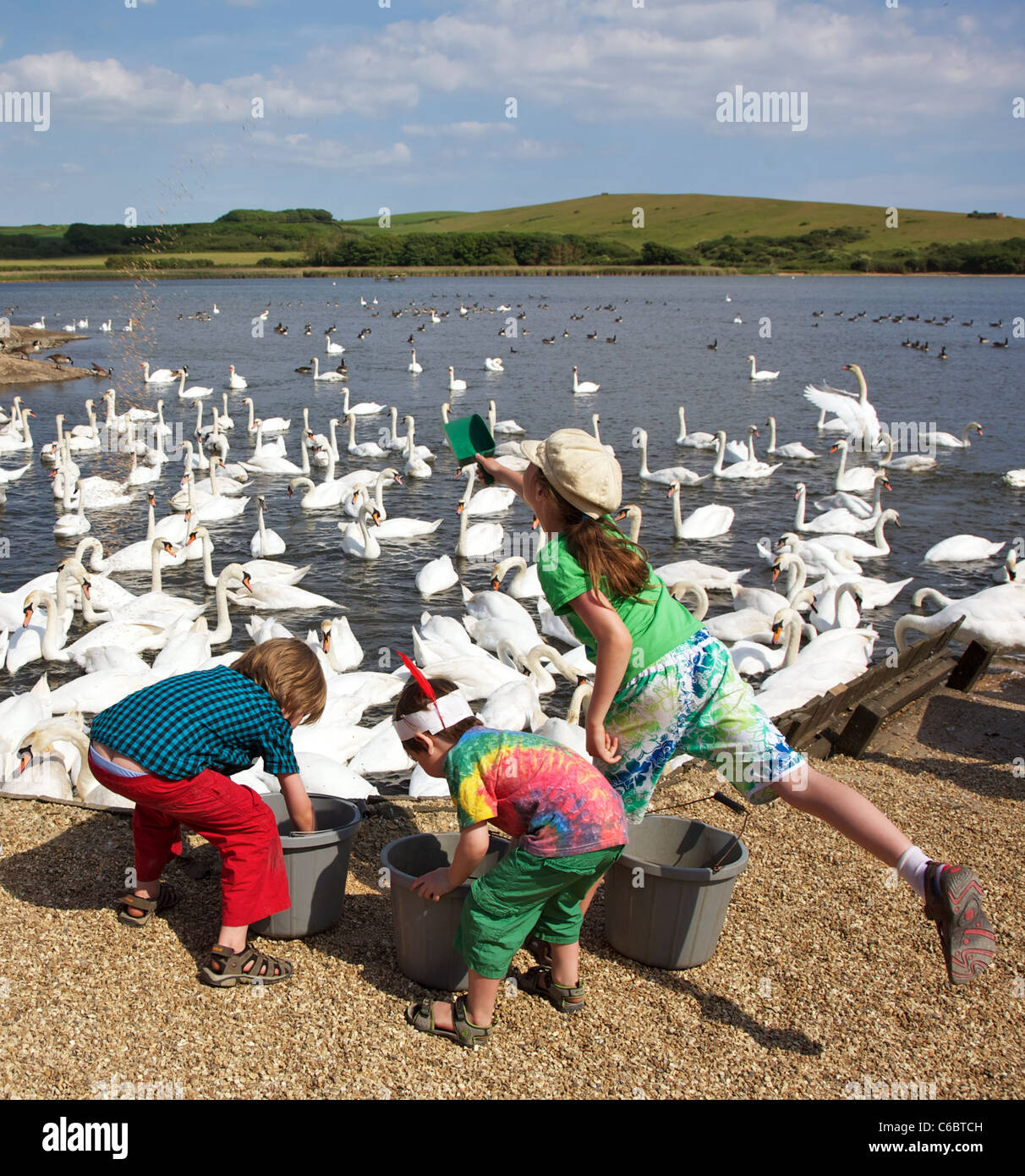 Swanney hi-res stock photography and images - Alamy