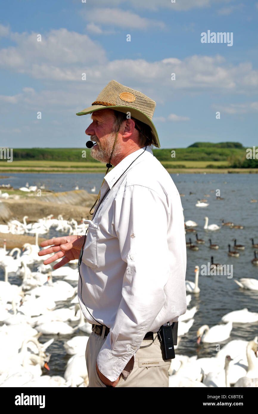 Swanney hi-res stock photography and images - Alamy