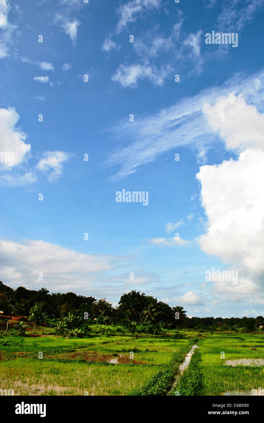 Gbarnga High Resolution Stock Photography and Images - Alamy