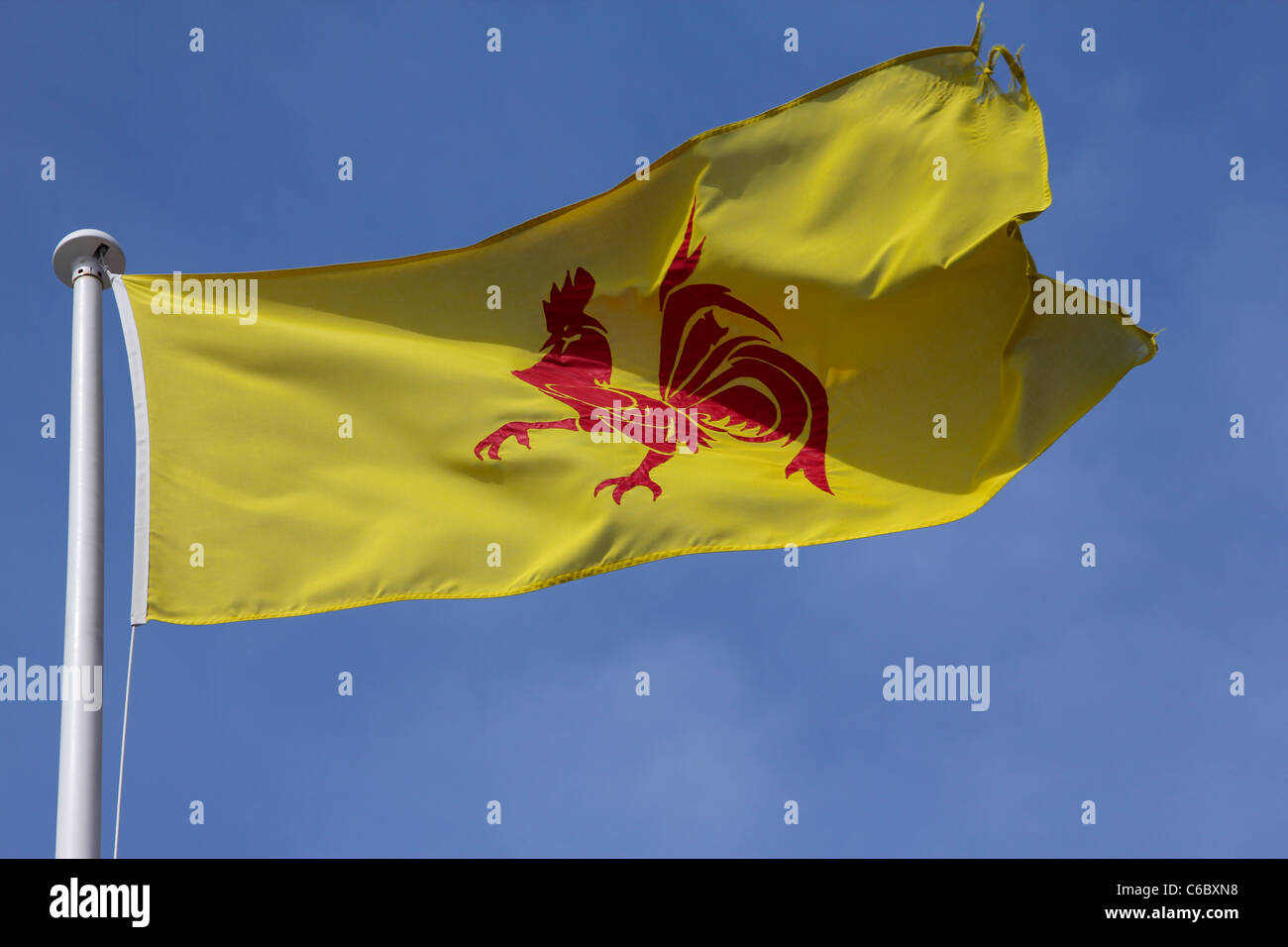 Wallonia Flag High Resolution Stock Photography and Images - Alamy