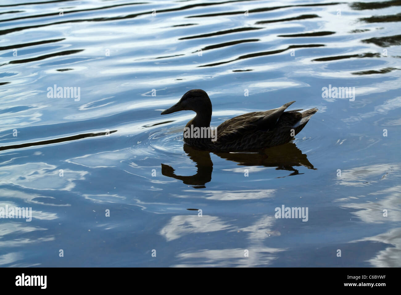 Silo silhouette hi-res stock photography and images - Alamy