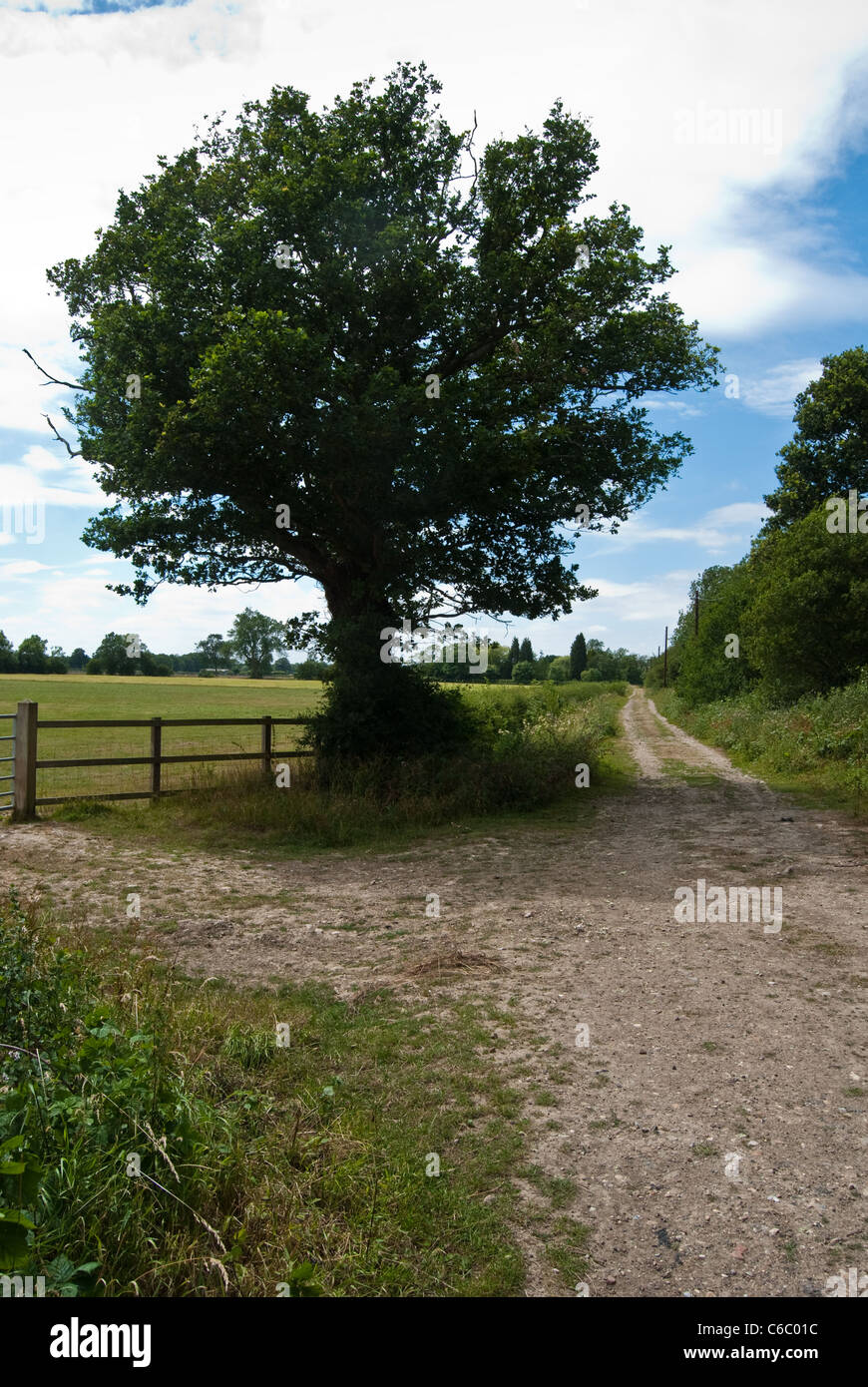 Rutted farm track hi-res stock photography and images - Alamy