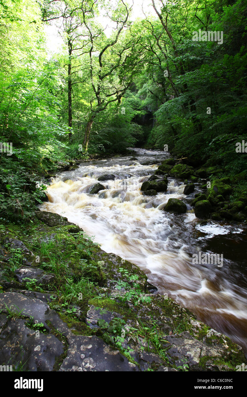 Ingleton waterfalls hi-res stock photography and images - Alamy