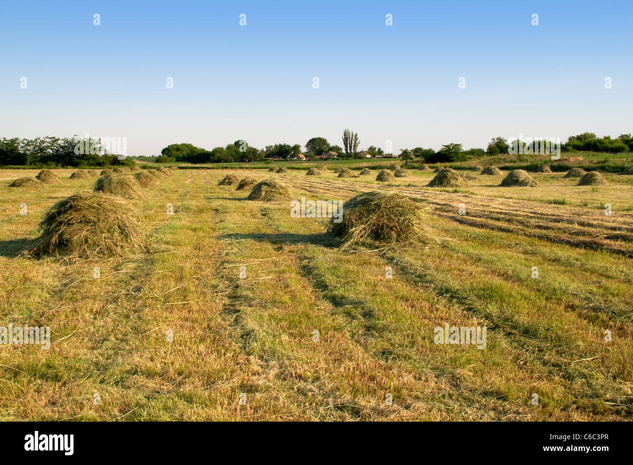 Agricultural landscape with sheafs of hay Stock Photo - Alamy