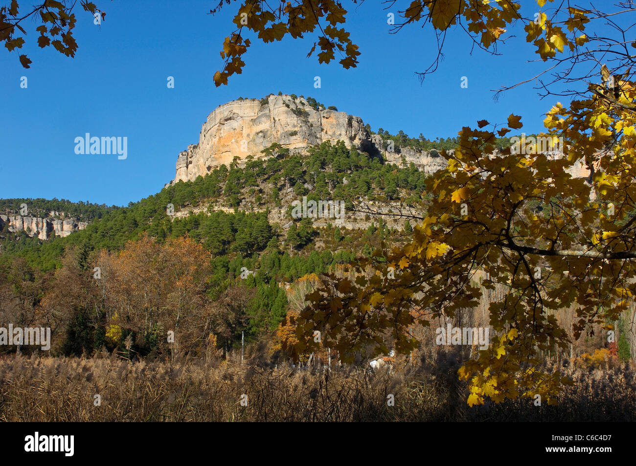 Una mancha hi-res stock photography and images - Alamy