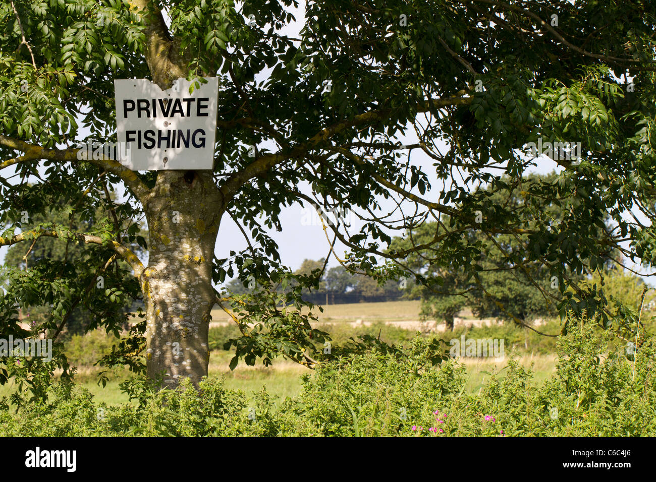 Private Fishing sign attached to a tree beside the River Bure in ...
