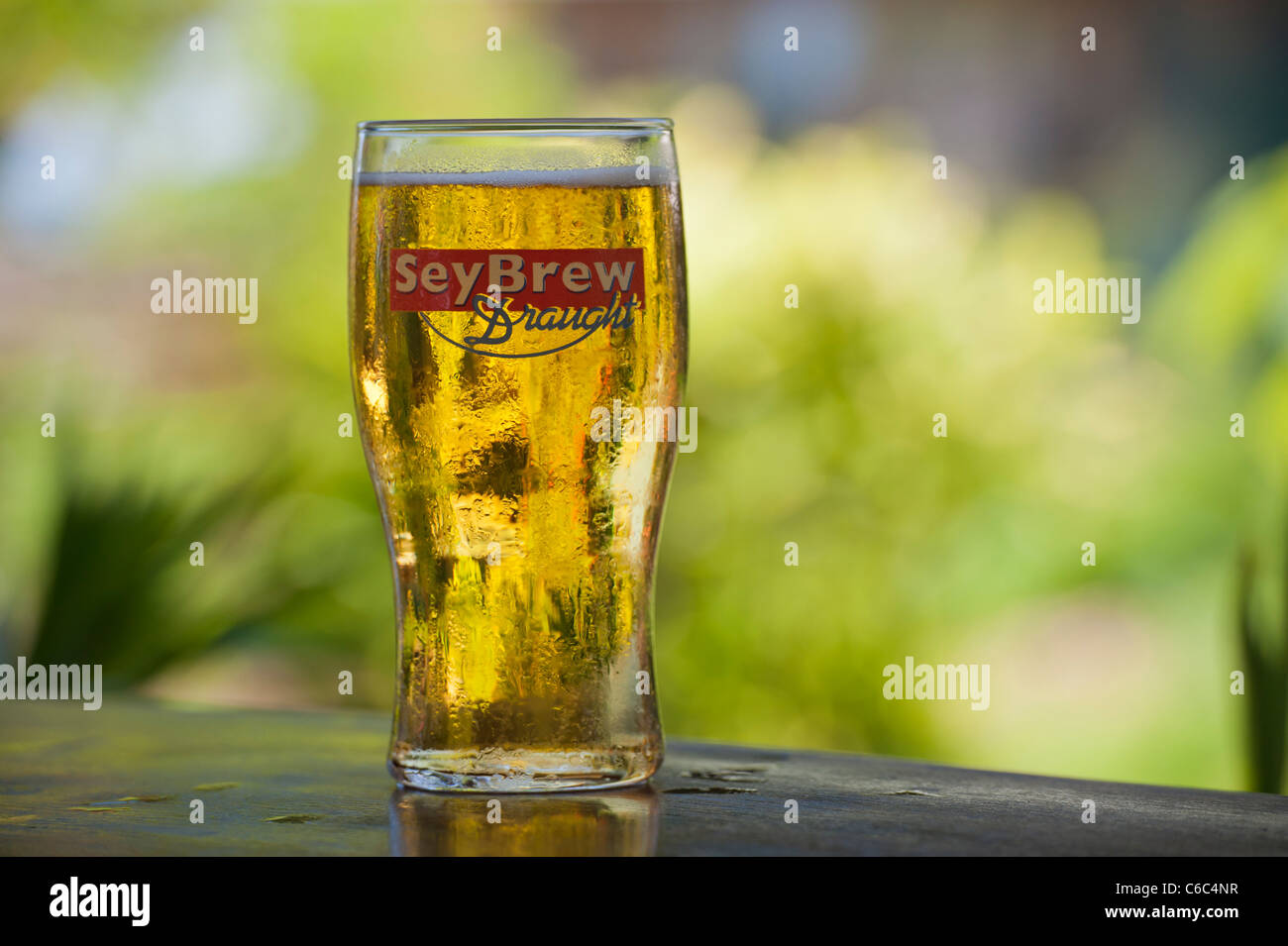 Cold Glass of Sey Brew Draught Beer by Beau Vallon Beach, Mahe ...