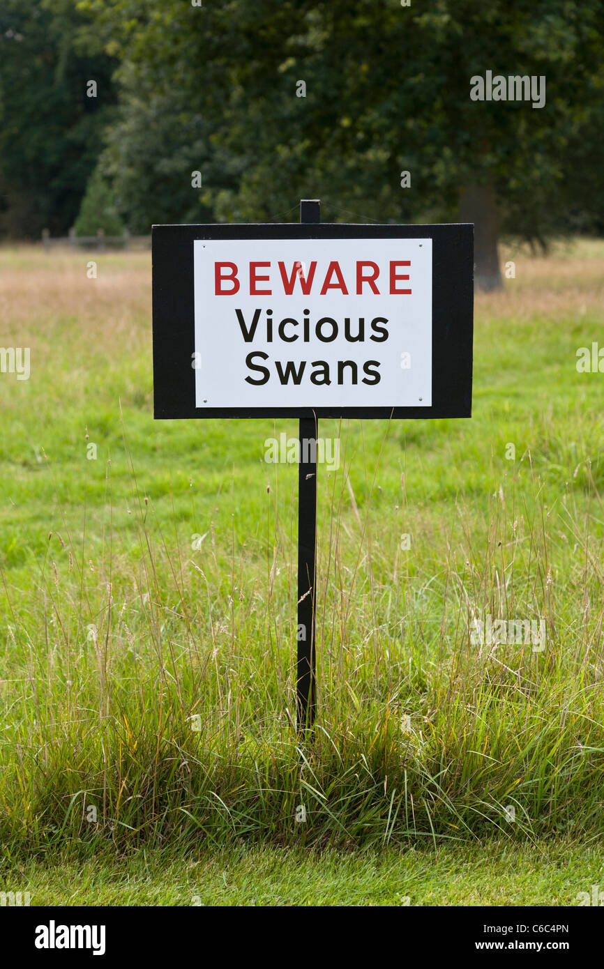 Beware Vicious Swans sign on grassland, Norfolk, UK Stock Photo - Alamy
