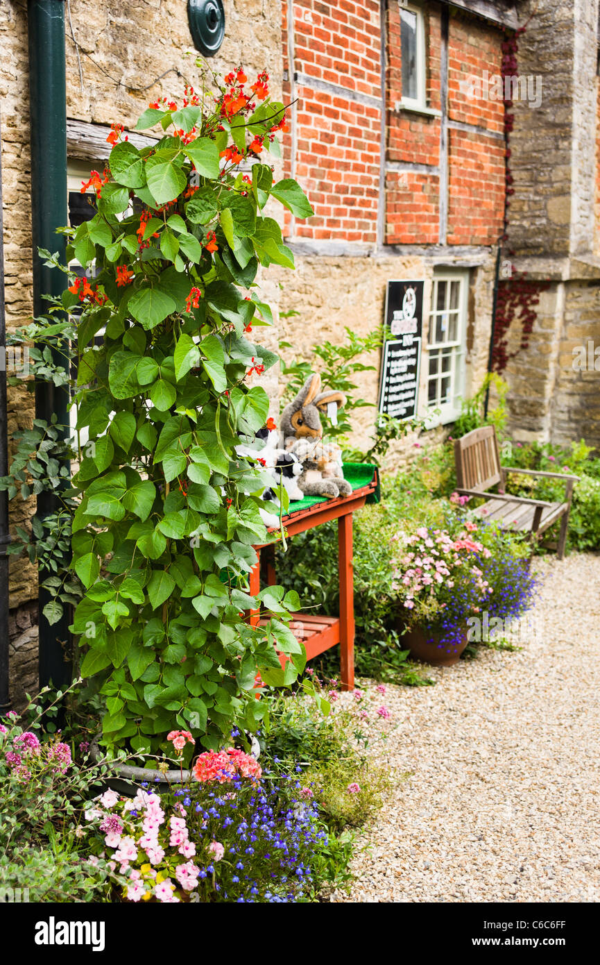 Runner beans hi-res stock photography and images - Alamy