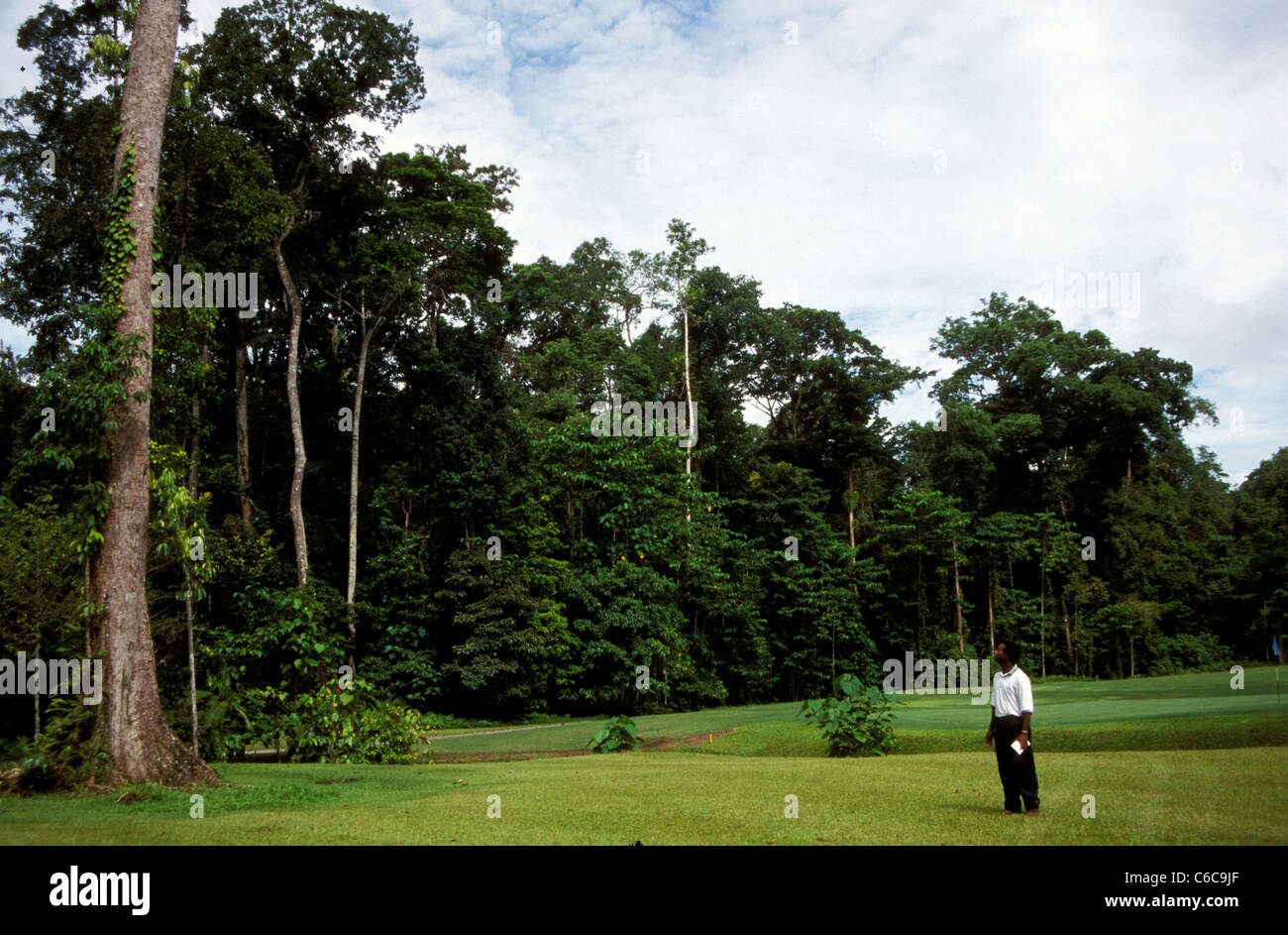Guinea golf hi-res stock photography and images - Alamy