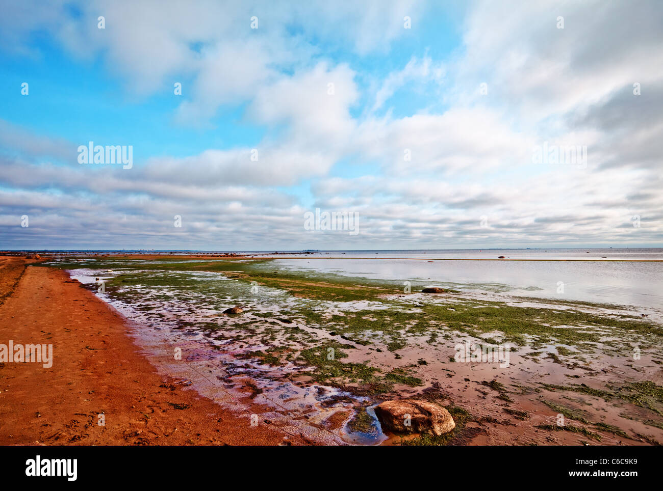 desolate beach under blue at summer day Stock Photo - Alamy