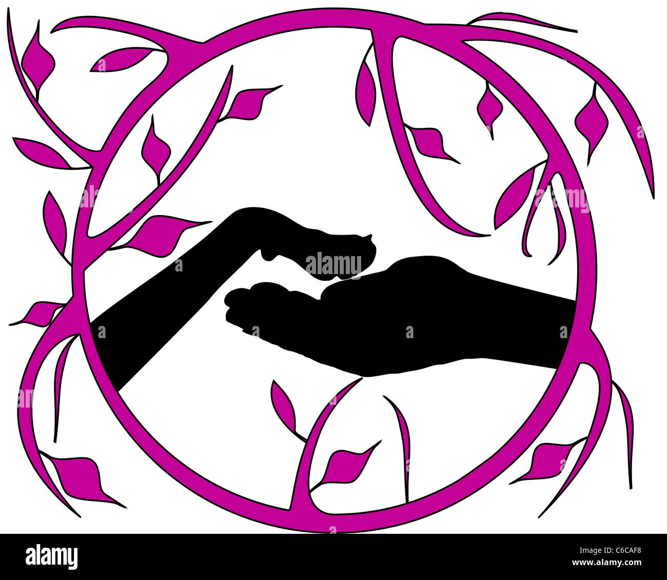 Paw in hand Stock Photo - Alamy