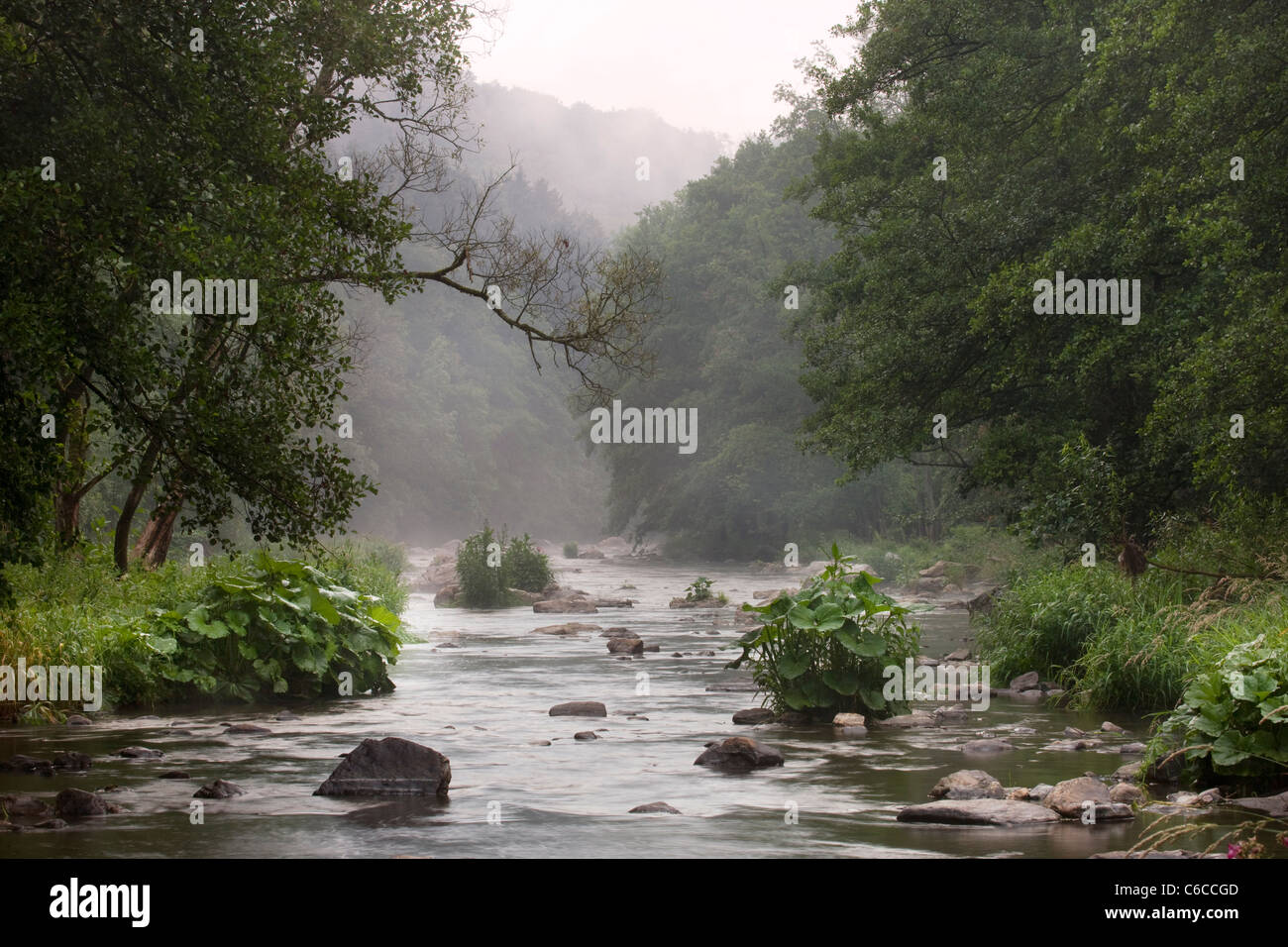 The river Amblève and the Fonds de Quarreux at Aywaille, Remouchamps in ...