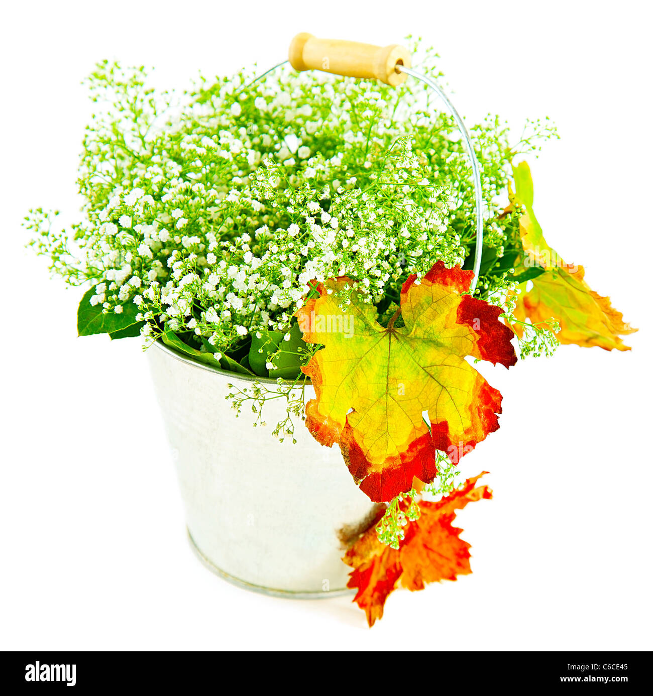 Bucket of autumn leaves & wildflowers, isolated on white background ...
