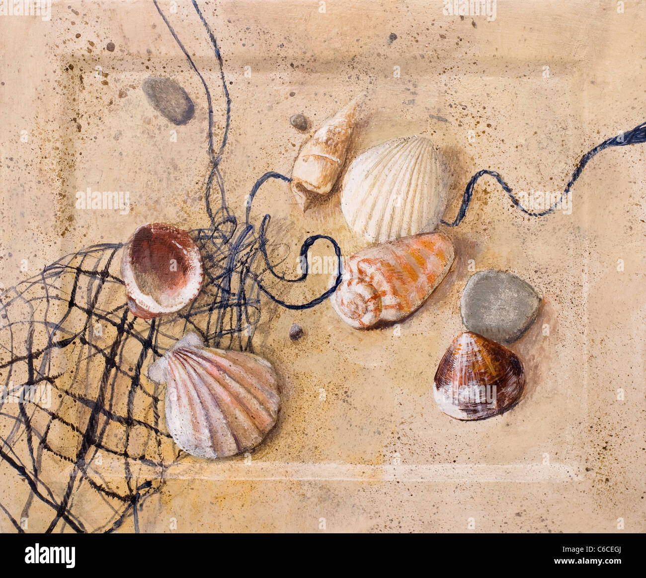 Shell still life painting hi-res stock photography and images - Alamy