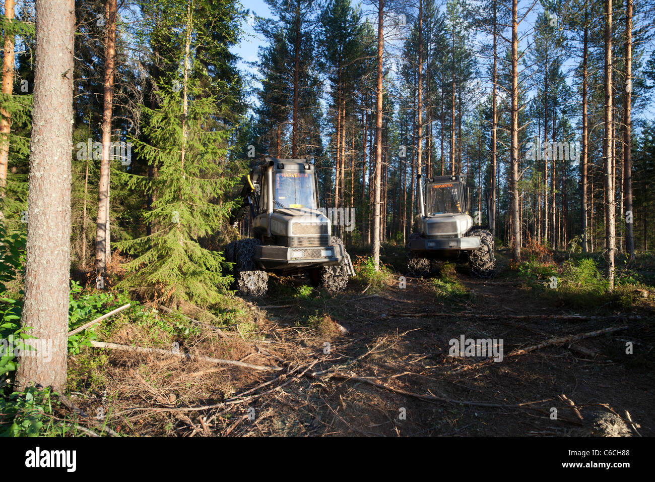 Ponsse Ergo and Bison forest harvesters in the taiga forest , Finland ...