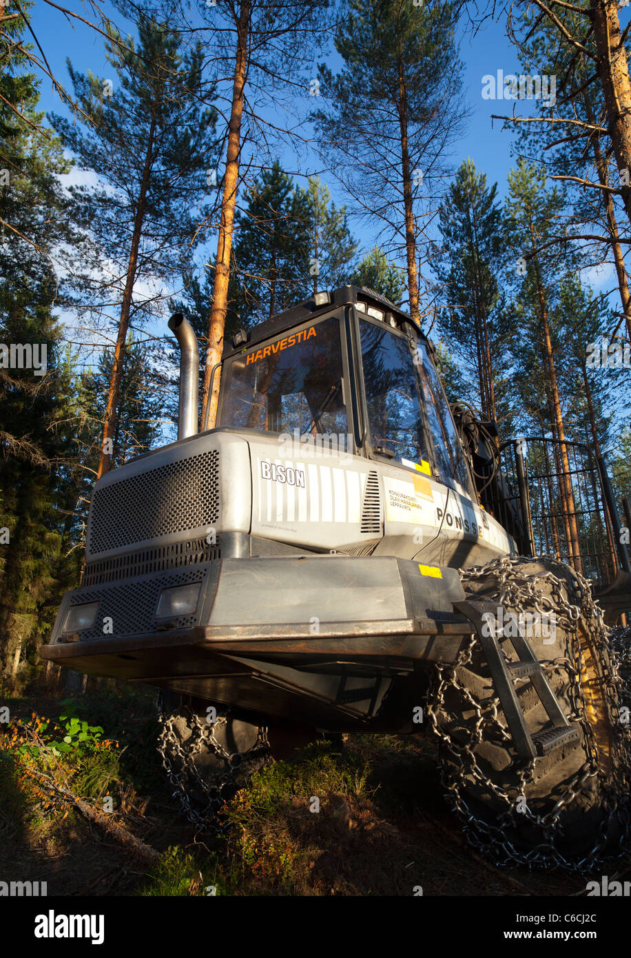 Finnish Ponsse Bison forest harvester in the taiga forest with spruce ...