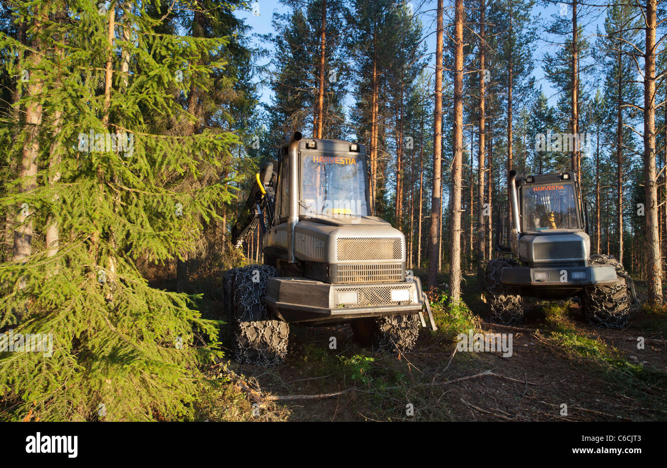 Ponsse bison ergo hi-res stock photography and images - Alamy