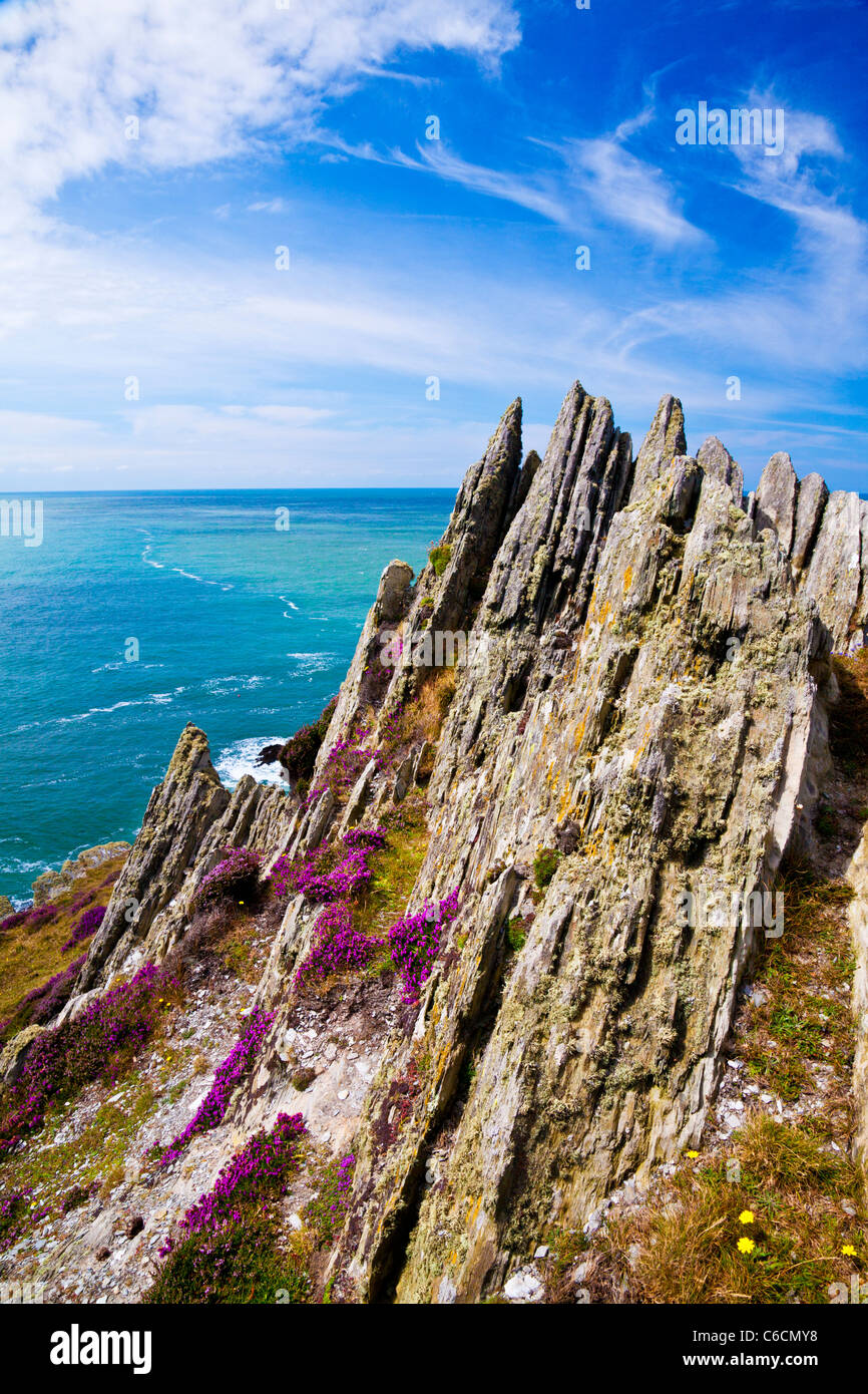 Morte Point near Morthoe, Woolacombe with a view over the Bristol ...
