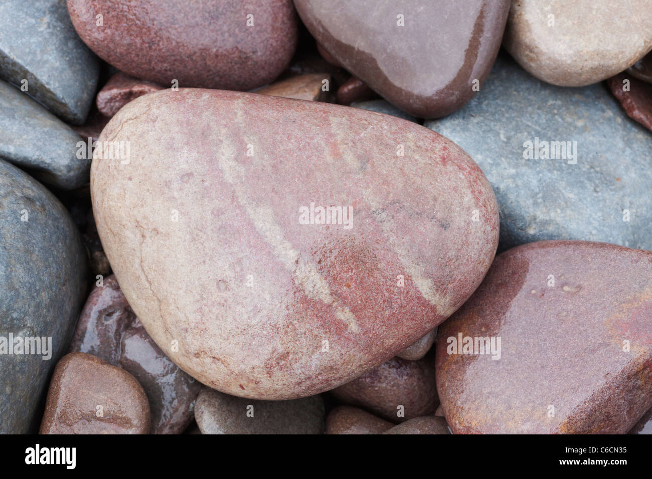 Closeup of coloured pebbles at the top of Kilve Beach Stock Photo - Alamy