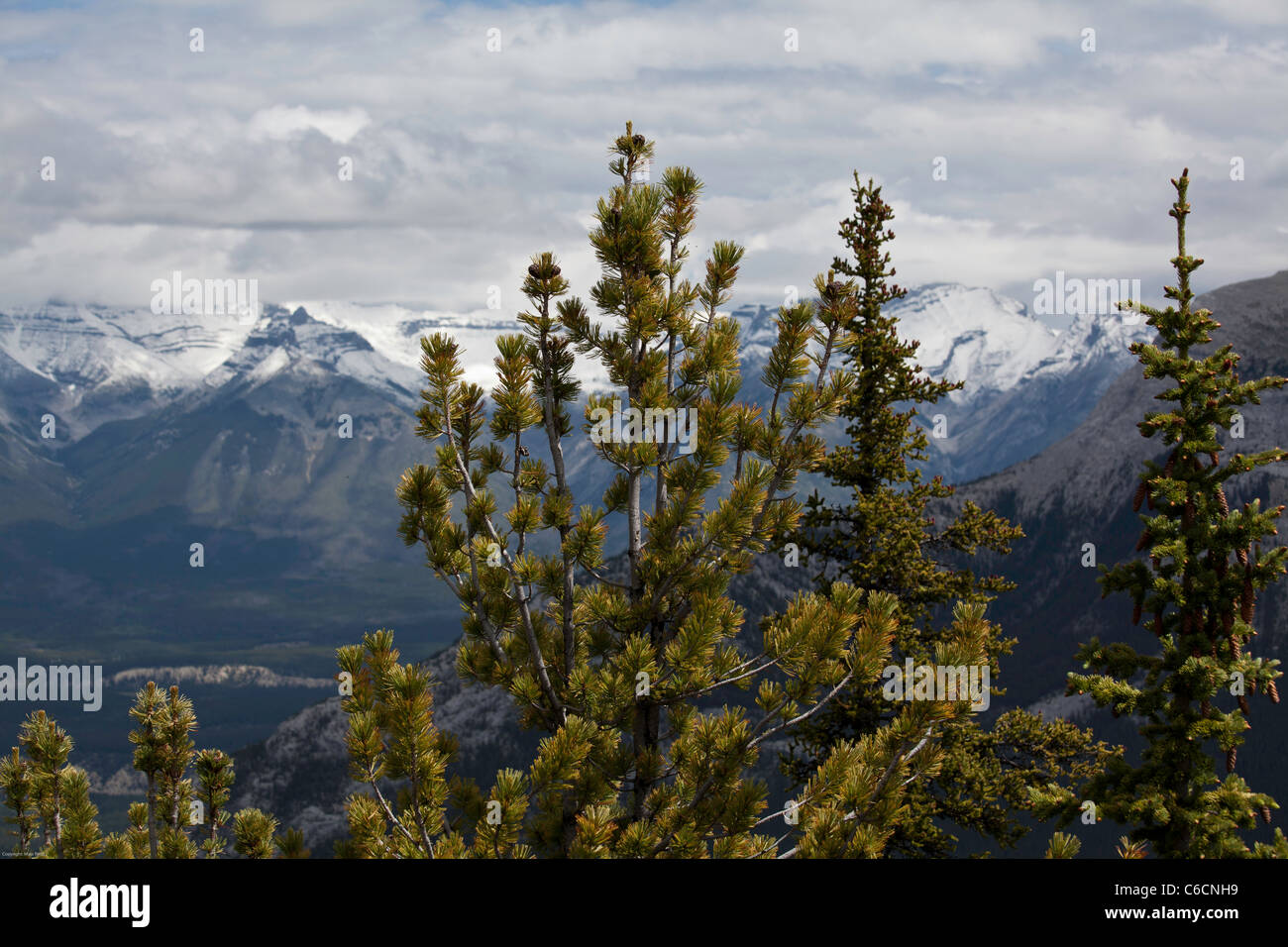 Mountainview hi-res stock photography and images - Alamy