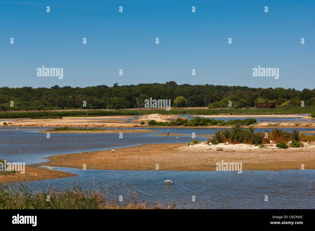 Minsmere nature reserve High Resolution Stock Photography and Images ...