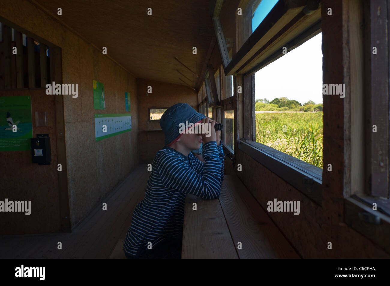 A young birdwatcher in a hide birdwatching at Minsmere bird reserve ...