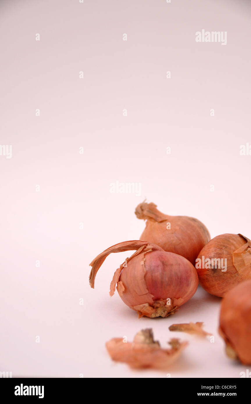 Shallots hi-res stock photography and images - Alamy