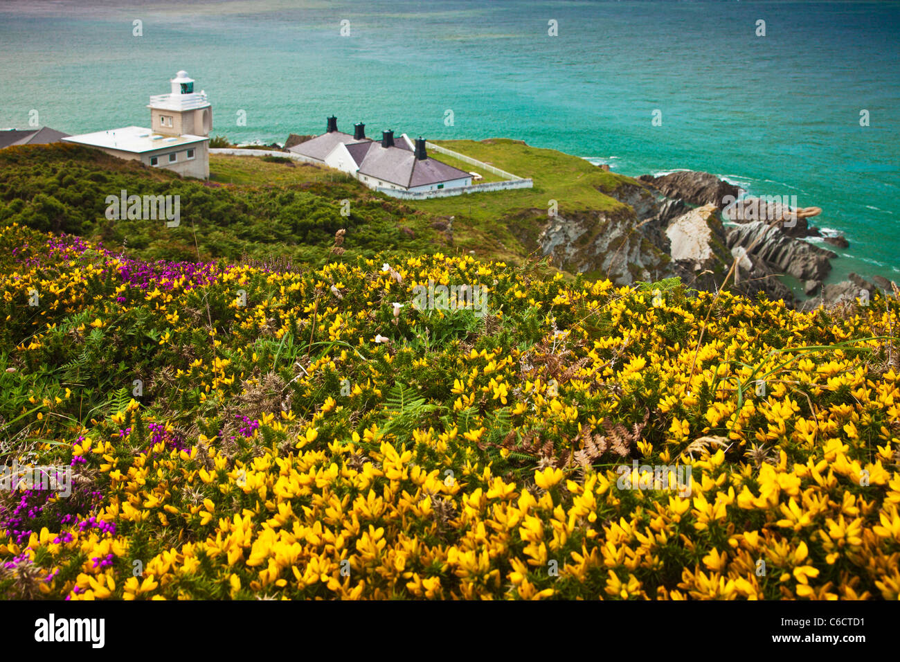 Bull point devon hi-res stock photography and images - Alamy