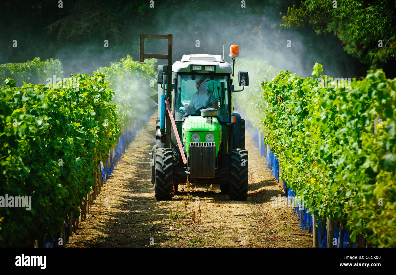 Farmer spraying the vineyard with water in the Dordogne, France in summer Stock Photo - Alamy