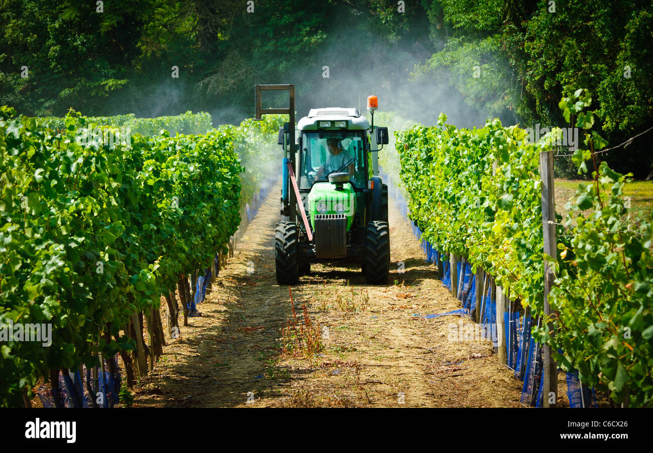 Vine tractor at work High Resolution Stock Photography and Images - Alamy